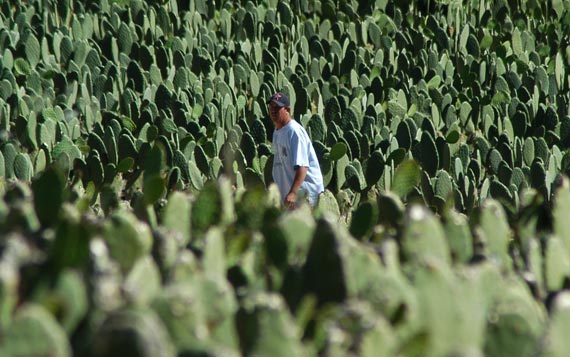 BOGUEnoticiazz: Cocina