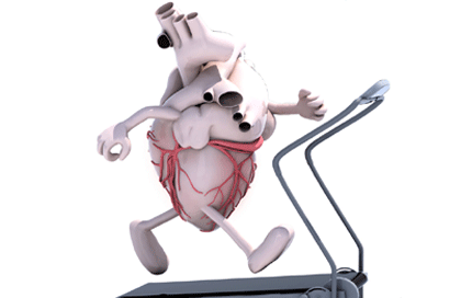 EJERCICIO CARDIOVASCULAR: CUÁNDO, CÓMO Y POR QUÉ