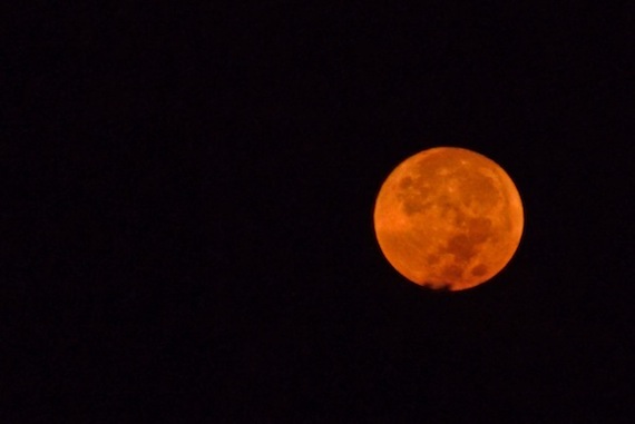 Eclipse lunar la semana próxima, primero de una rara tétrada de "lunas ...