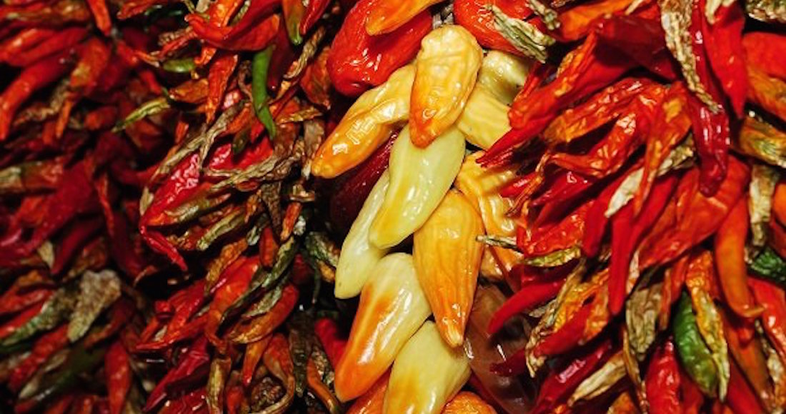 "Aliento de dragón", el chile más picante que no fue creado para ser ...