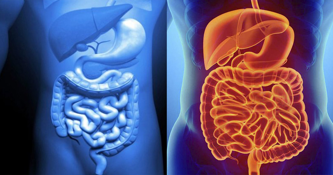 Seis síntomas claves del estreñimiento y seis consejos de expertos para ...