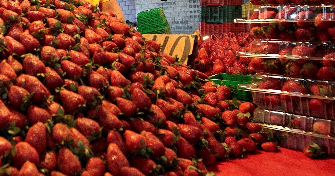 Las exportaciones de frutos rojos mexicanos no dejarán de crecer pese a ...
