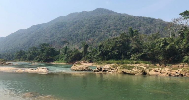 ¿Qué pieza de pollo eres? Un quiz para divertirse y celebrar el día del ...